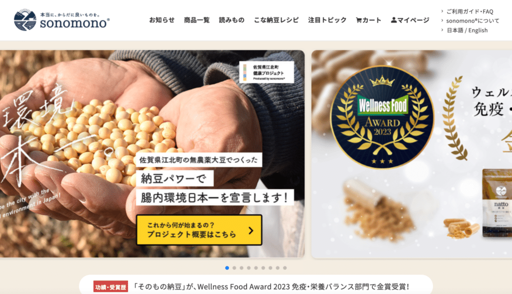 wordpress-theme10 | wp.geek